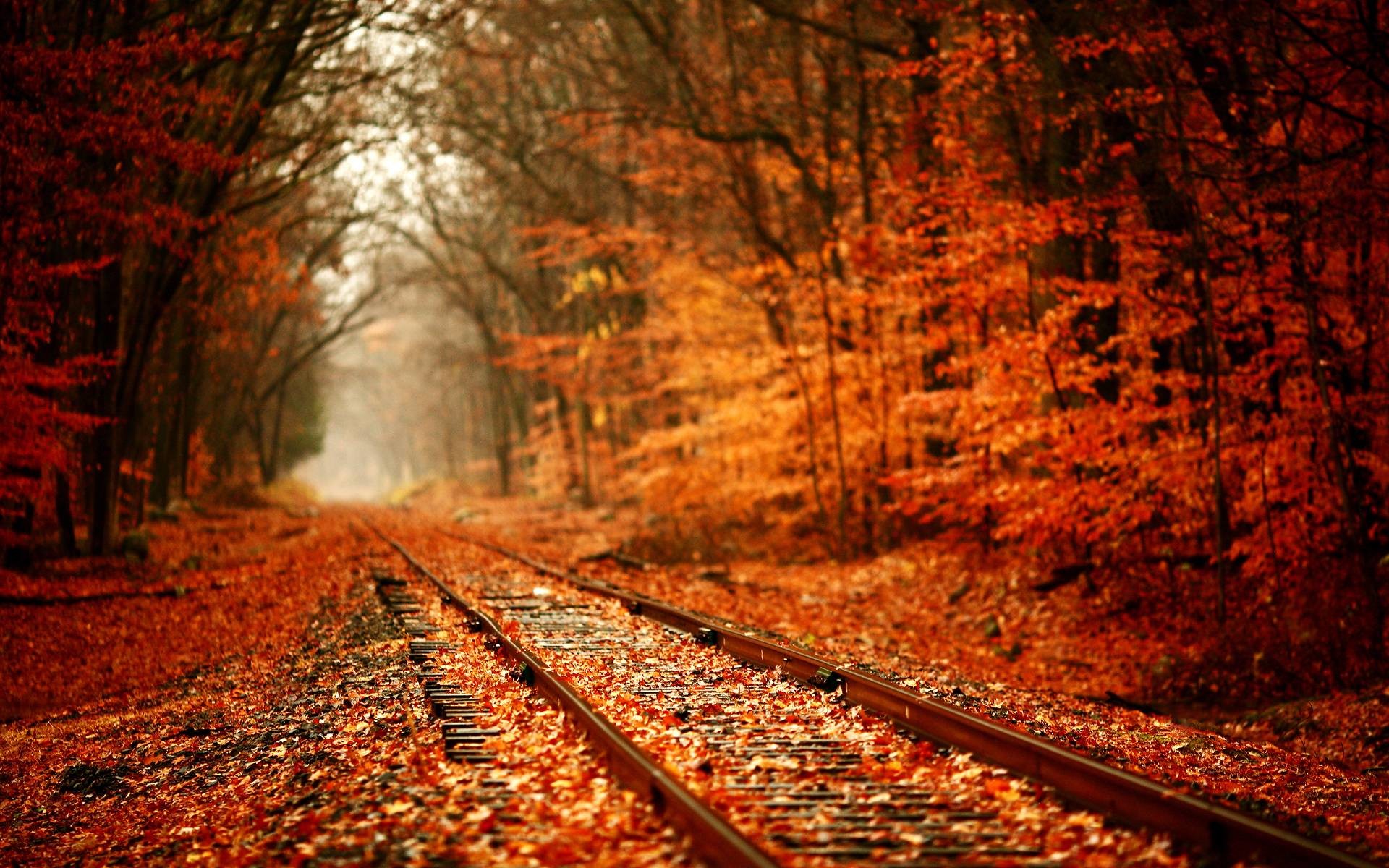 Fall Themed Wallpaper Desktop ·① WallpaperTag