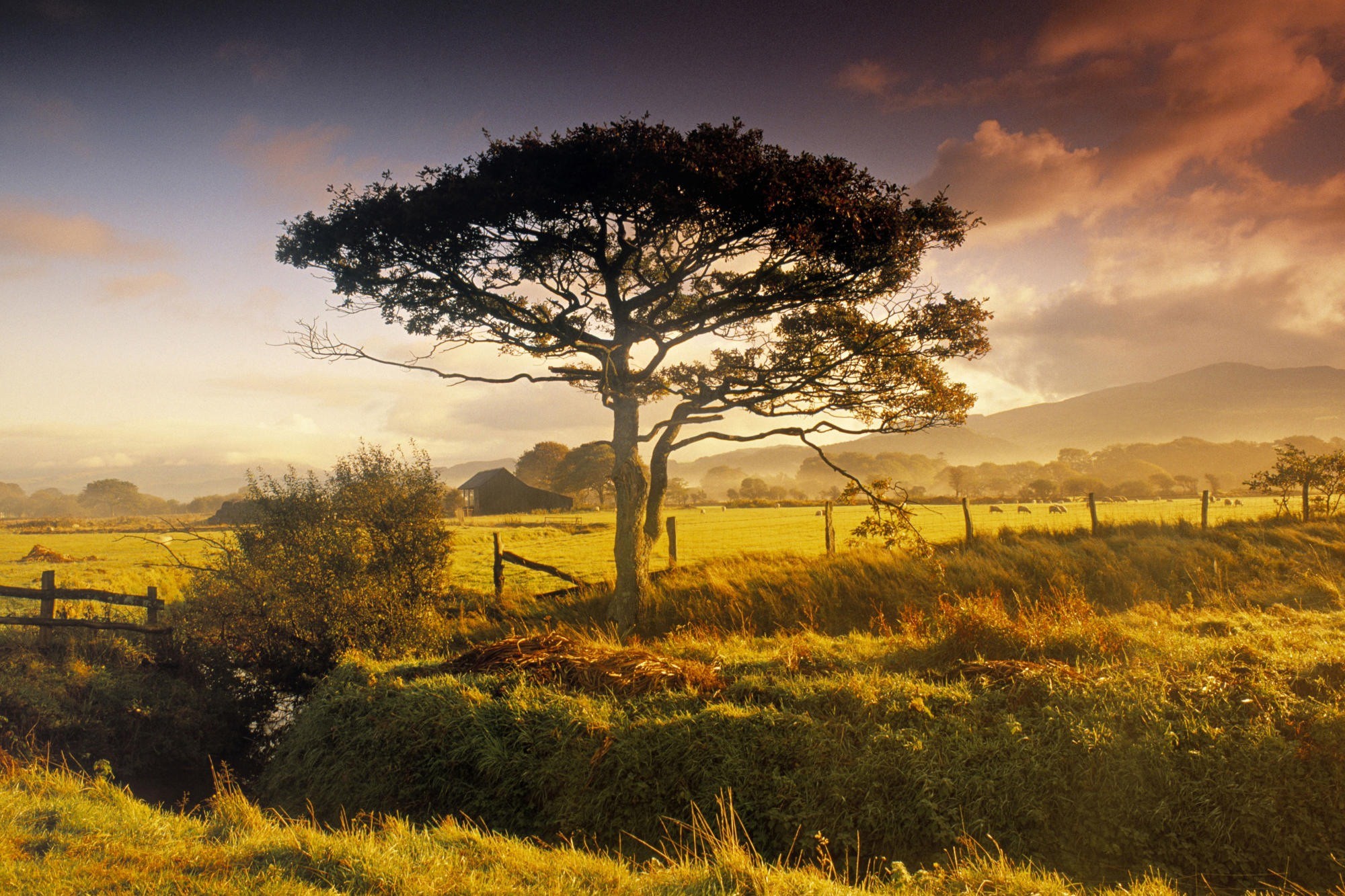 Farm background ·① Download free stunning full HD backgrounds for ...