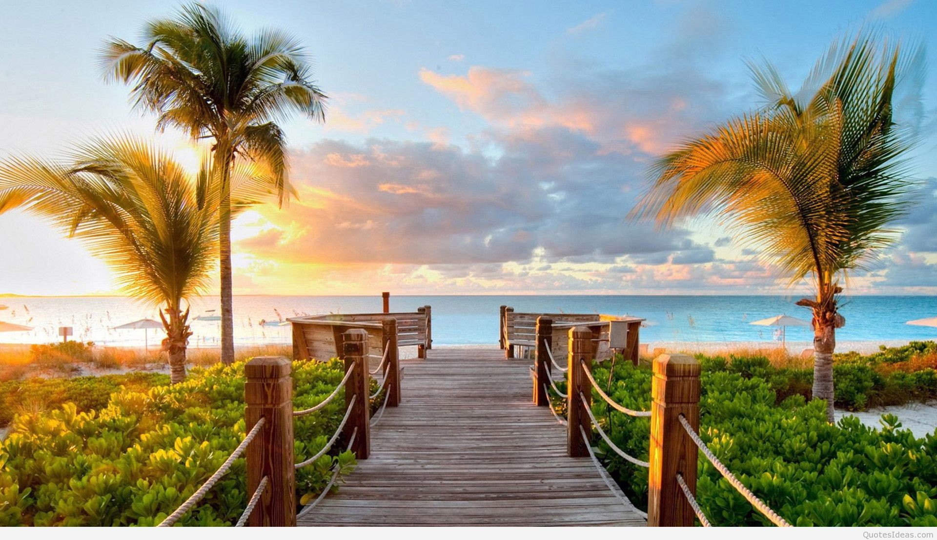 Ide Populer Summer Background Ide Populer Summer Background