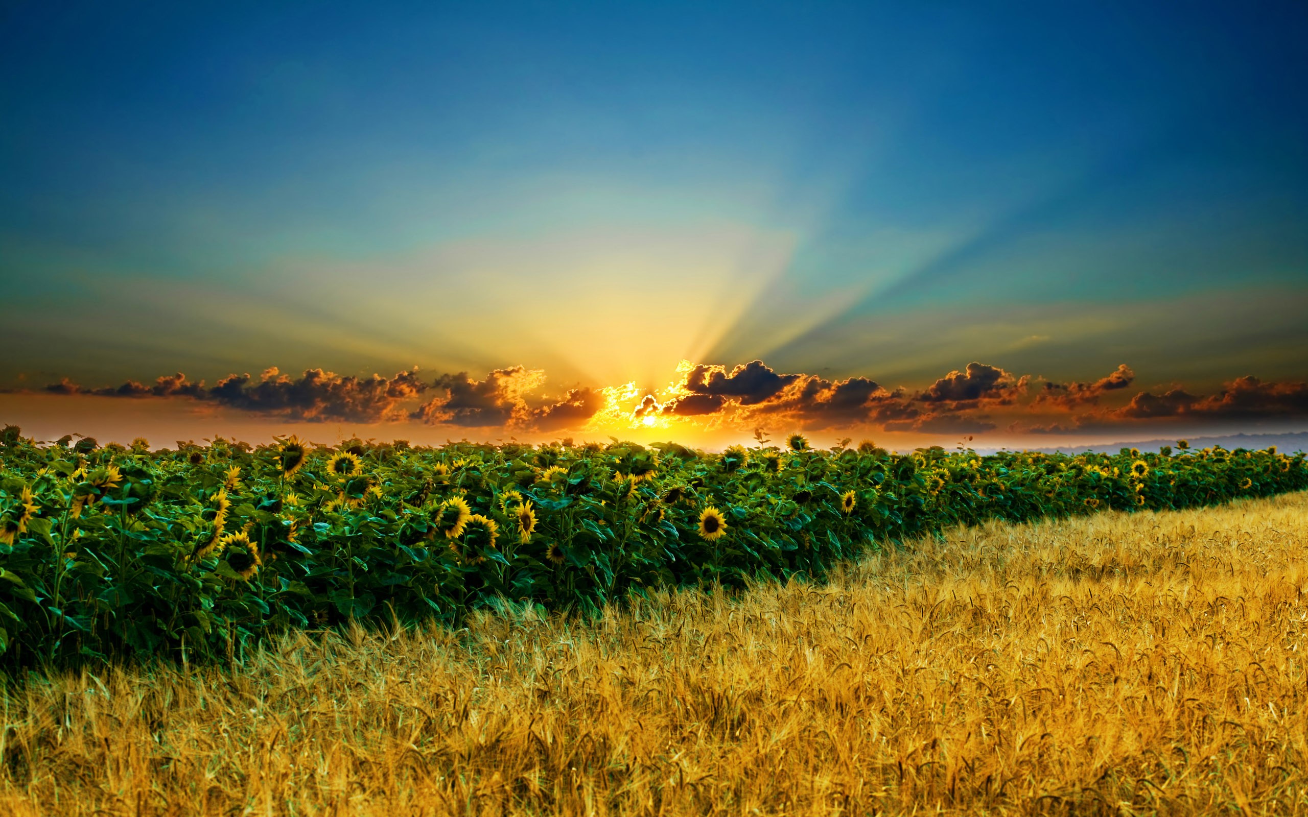 Landscape background ·① Download free awesome High Resolution ...