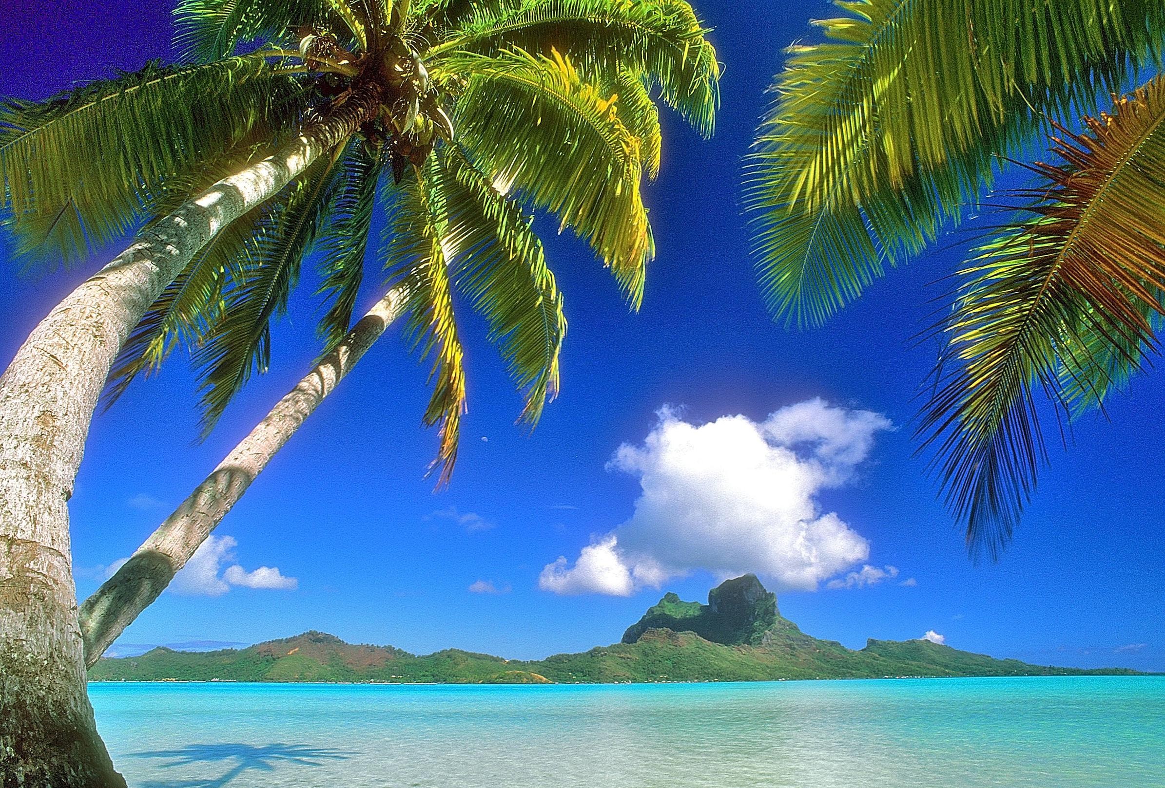 High Resolution Background Images For Green Screen Green Watercolor 