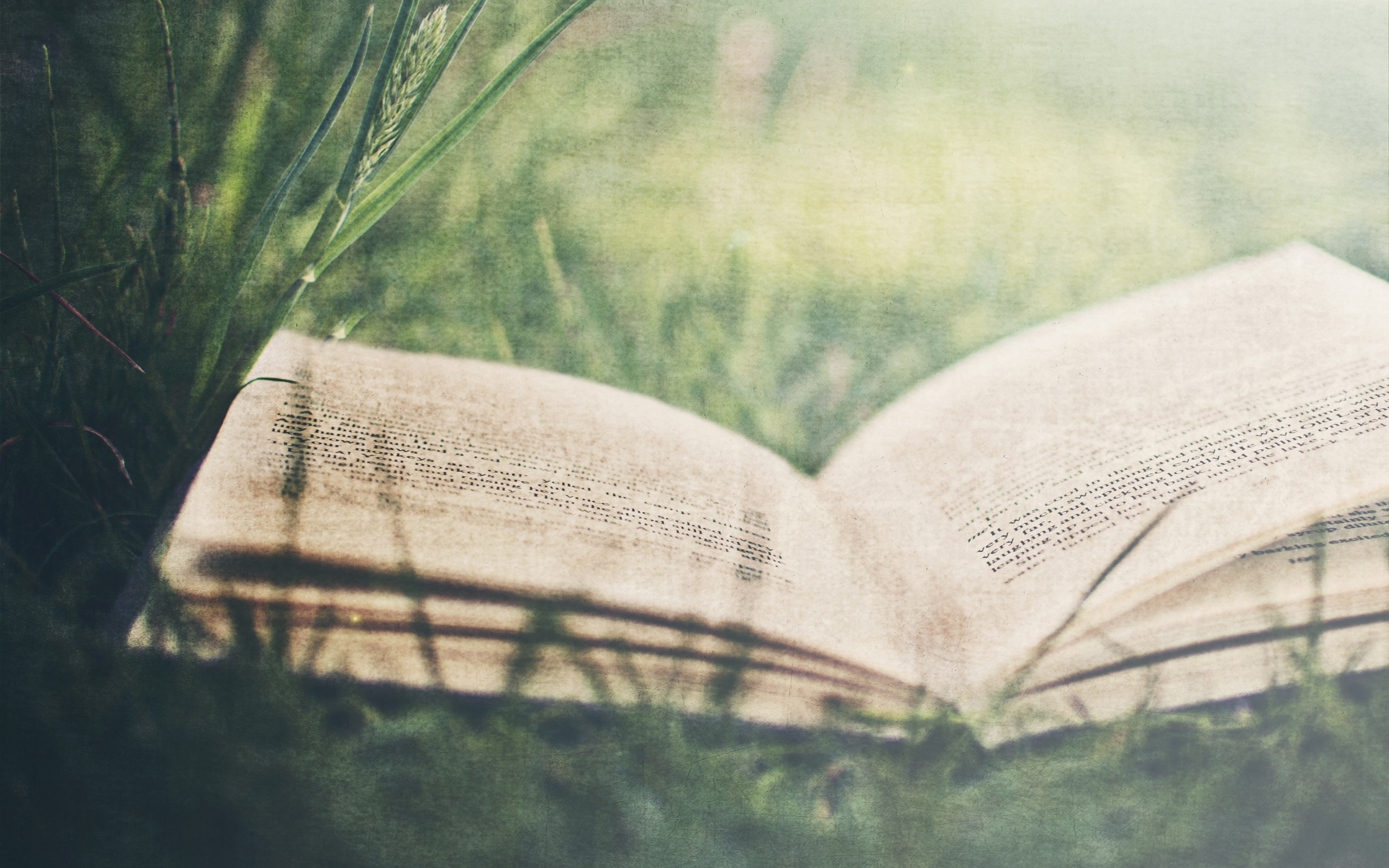 Books background ·① Download free stunning High Resolution backgrounds ...