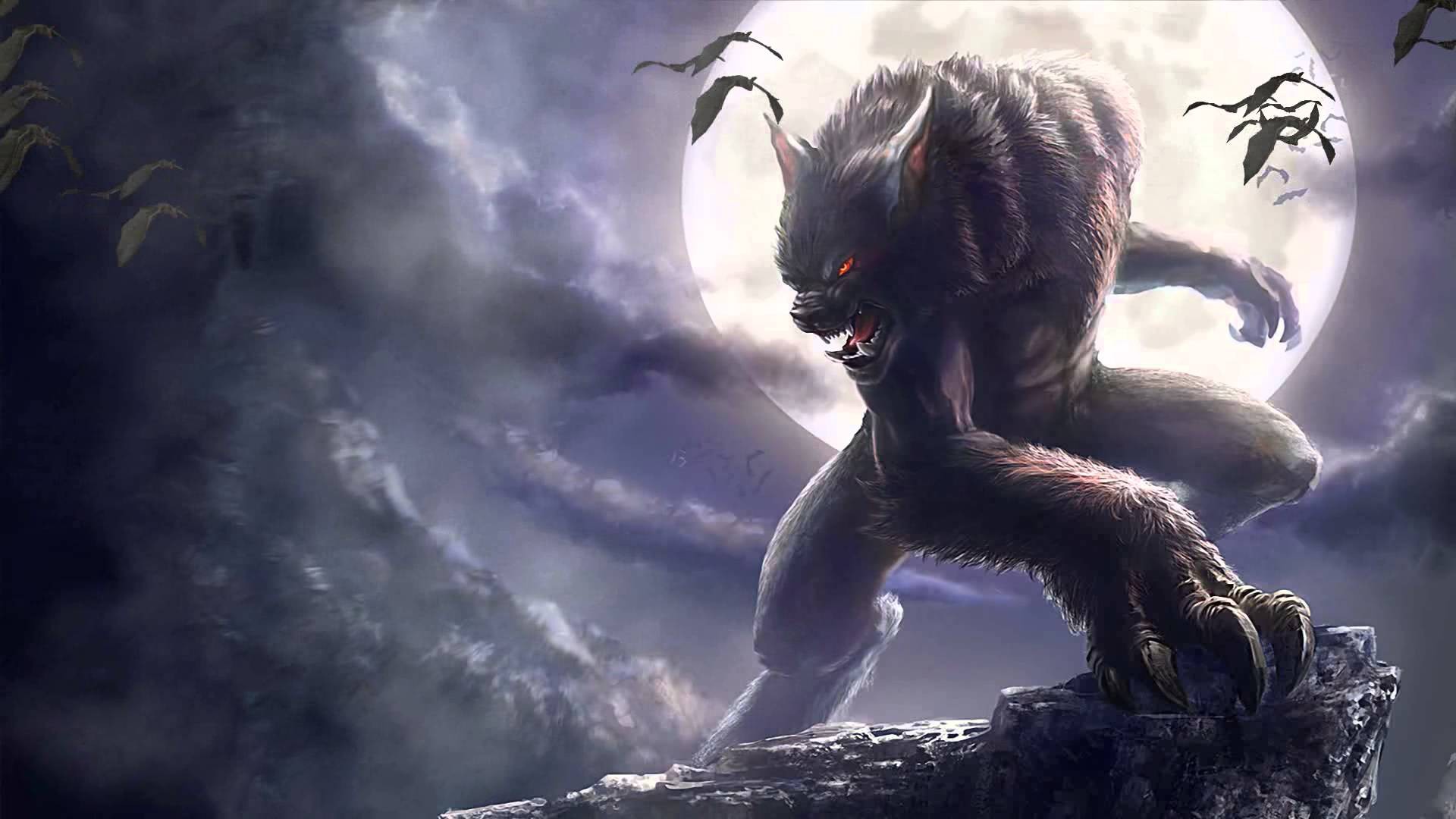 Werewolf wallpaper ·① Download free HD backgrounds for desktop, mobile ...