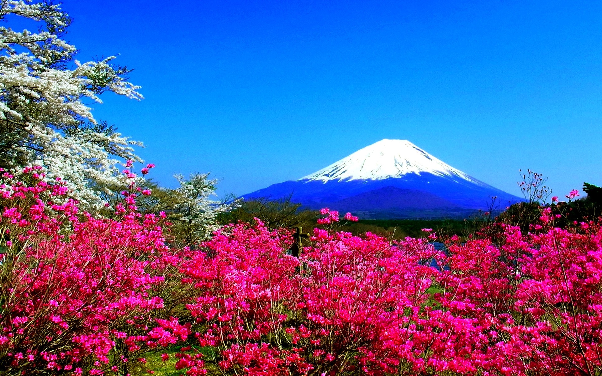 Japan Nature Wallpaper WallpaperTag
