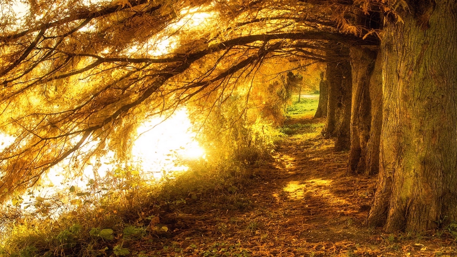 Beauty Backgrounds ·① WallpaperTag