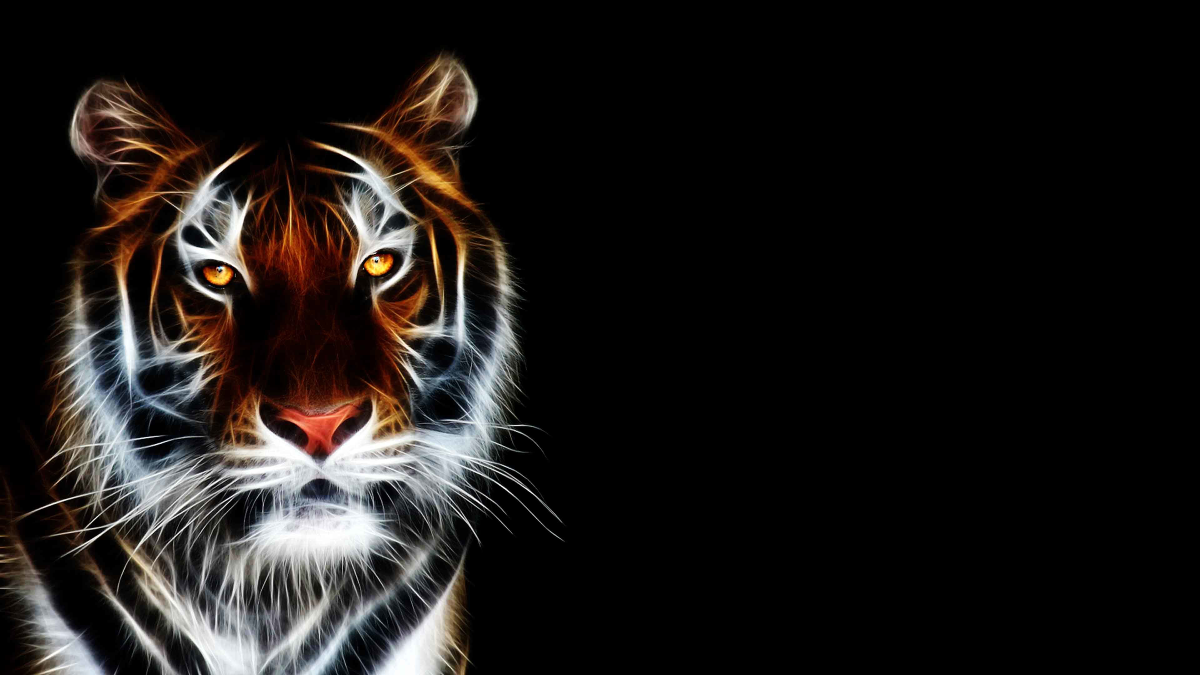 Best Moving Background Animated Wallpaper Windows 10 56 Images The Best Gifs Are On Giphy 