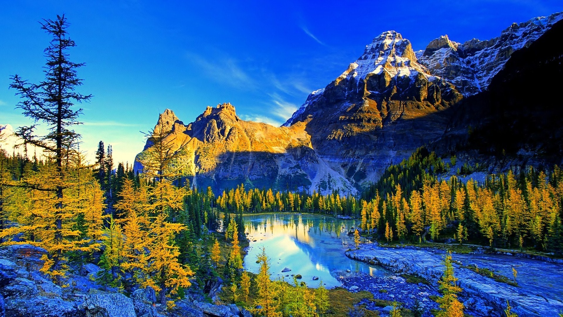 63 4K Nature Wallpapers Download Free HD Backgrounds For Desktop 63 4K Nature Wallpapers Download Free HD Backgrounds For Desktop