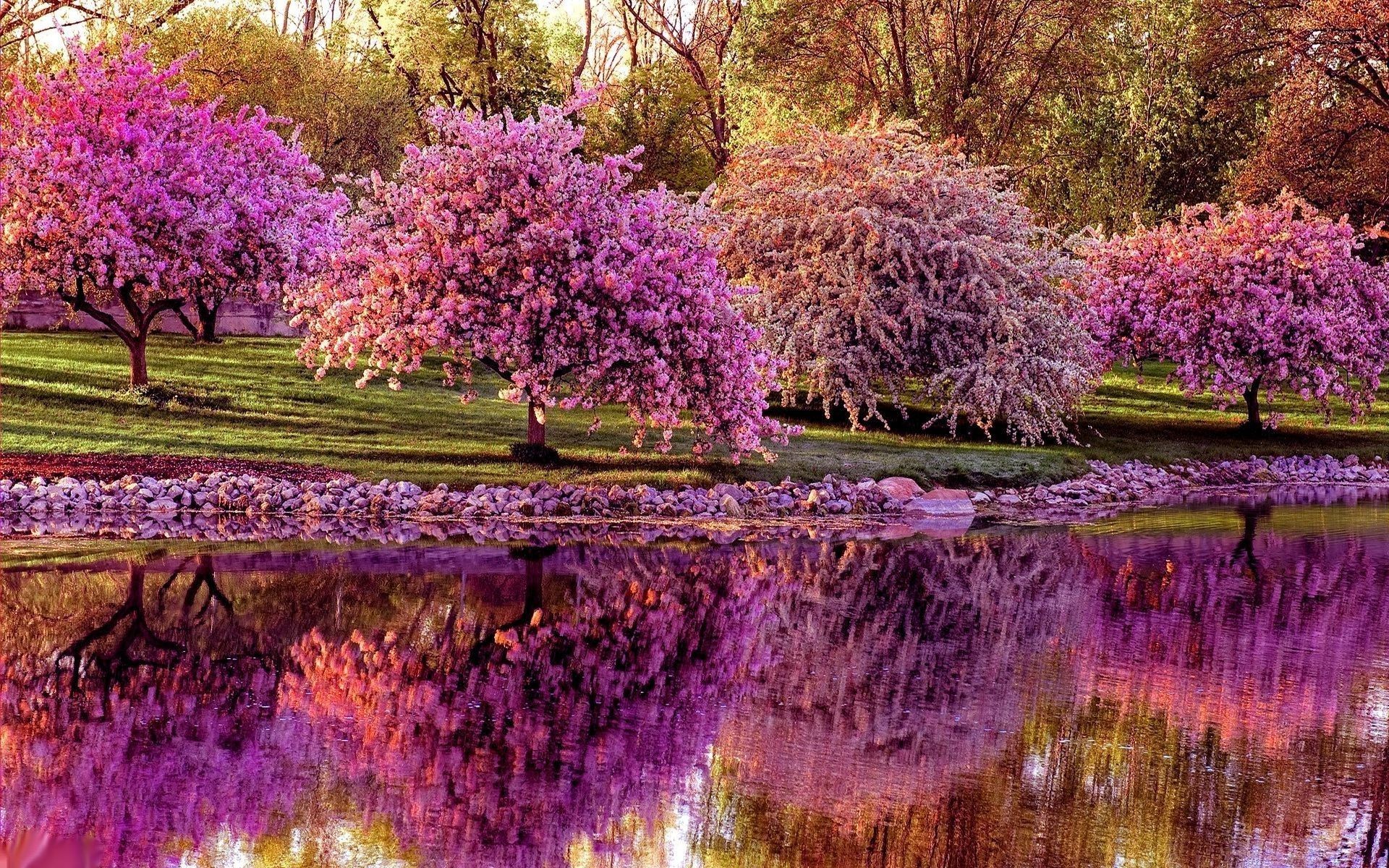 SprinGTIme Desktop Backgrounds WallpaperTag SprinGTIme Desktop Backgrounds WallpaperTag