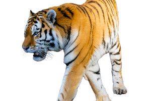 Spongebob background ·① Download free beautiful full HD wallpapers for ...