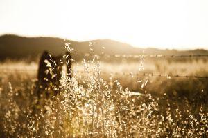 Guns wallpaper ·① Download free cool full HD wallpapers for desktop and ...