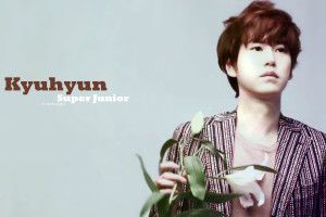 Monty Python Wallpaper ·① WallpaperTag